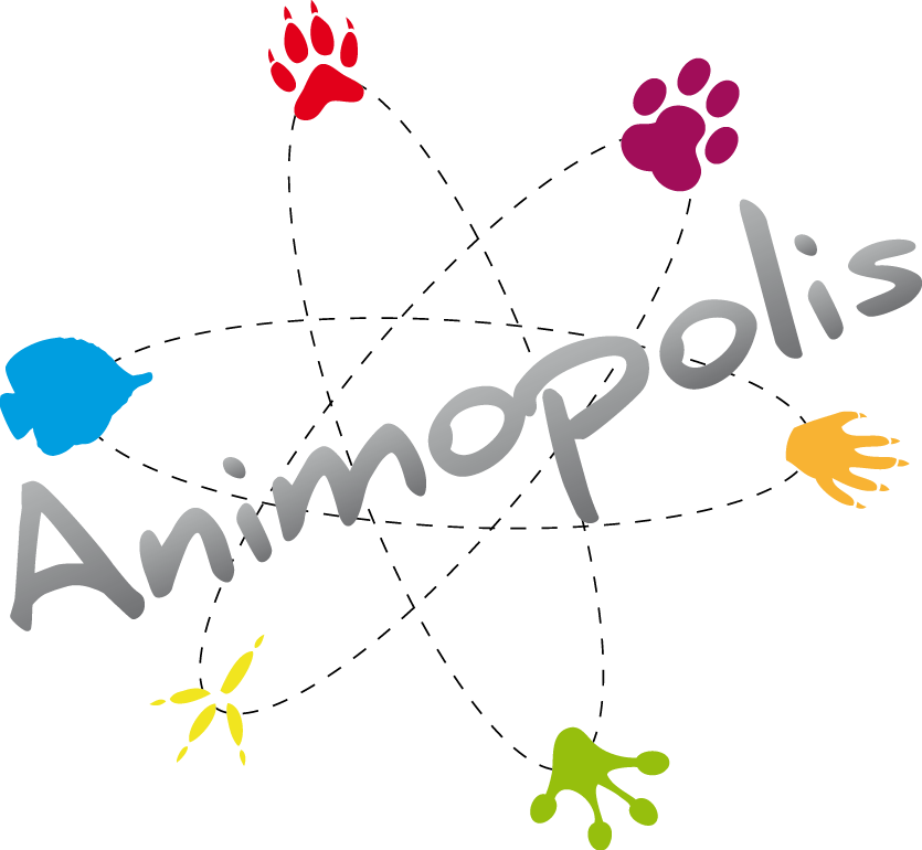 Animopolis::Accueil